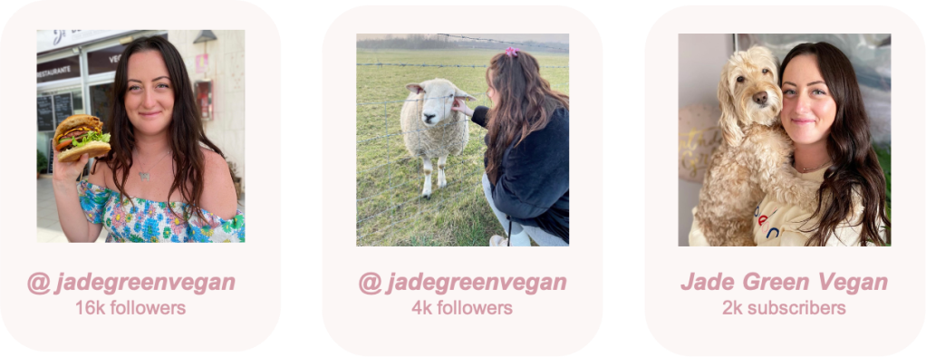 TikTok Instagram YouTube